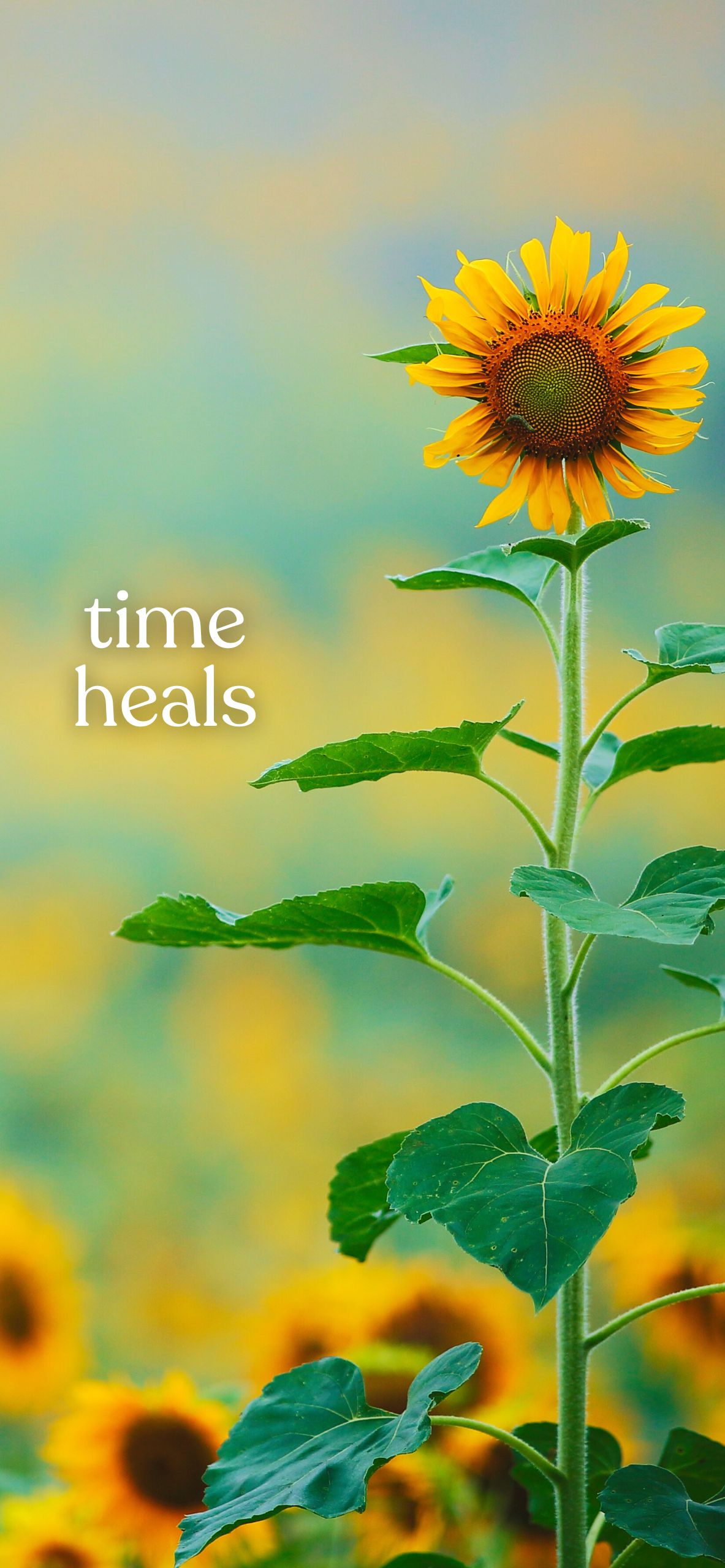 Cope Notes | Positive, Encouraging Phone Wallpaper Designs
